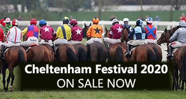 Horse Racing Hospitality Packages and VIP Tickets