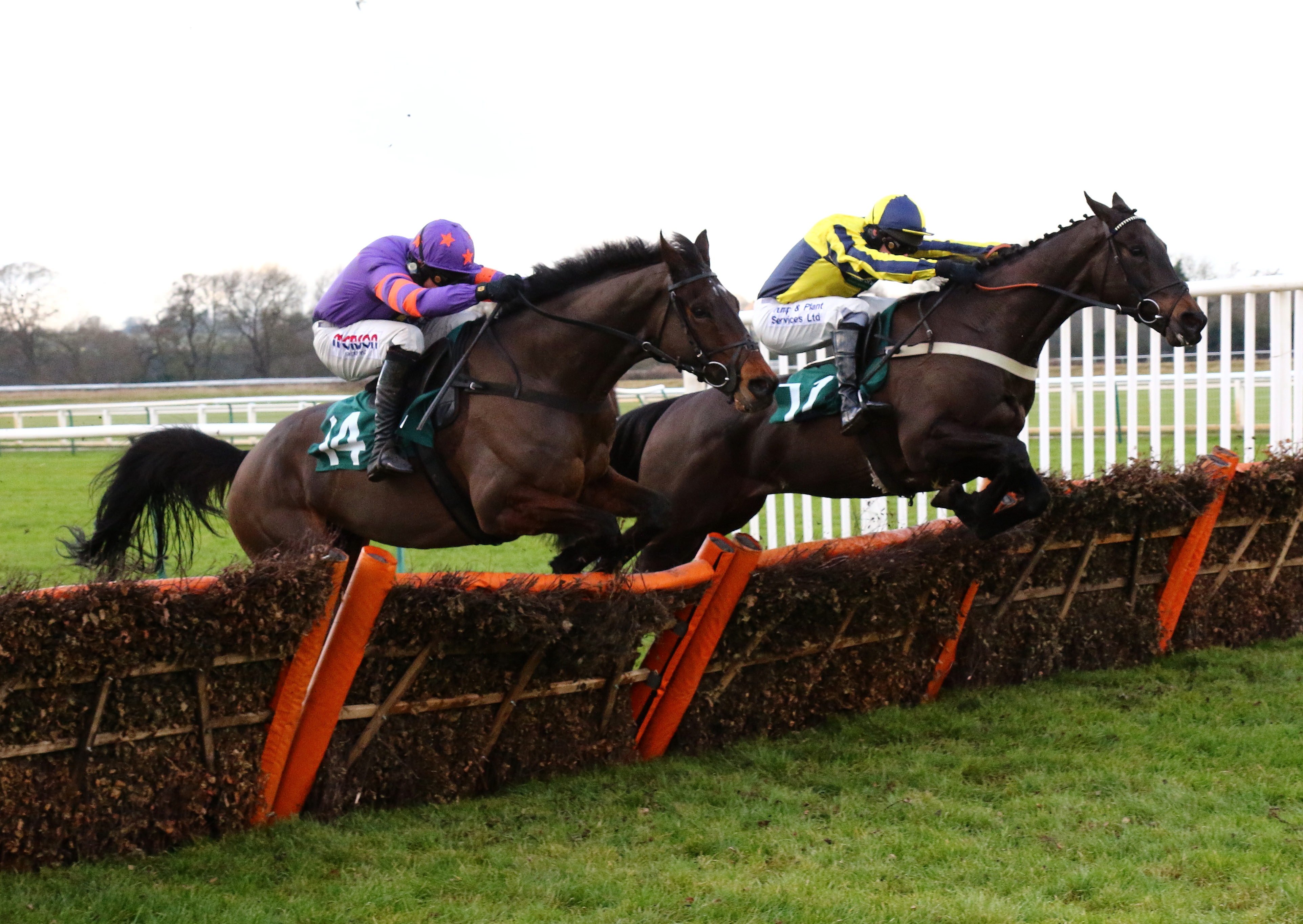 Warwick Racecourse | Horse Racing | Hospitality and News