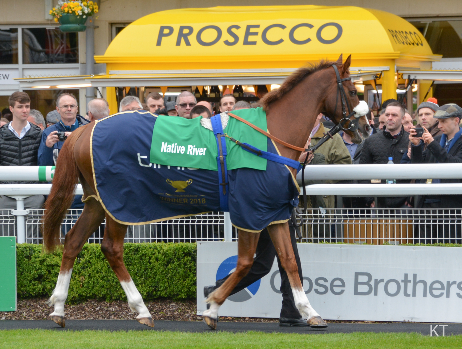 Cheltenham Festival Past Gold Cup Winners, Icons & History