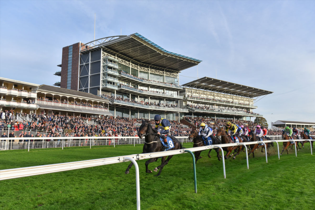 York Ebor Festival Hospitality - Dante Suite - York Races 2026